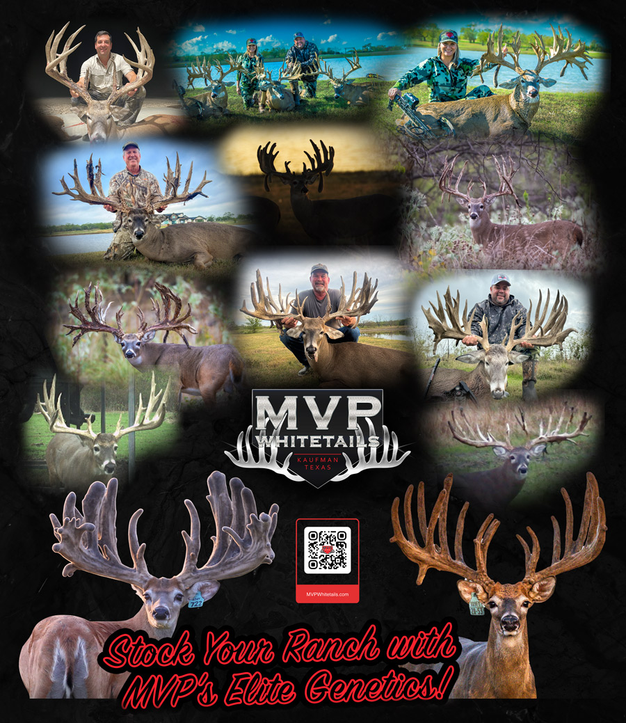 MVP Whitetails - A Premier Texas Whitetail Deer Breeder for Trophy ...