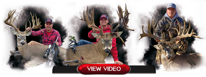 MVP Whitetails - A Premier Texas Whitetail Deer Breeder for Trophy ...